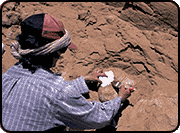 Being a PaleontOLogist: Mark Norell | AMNH