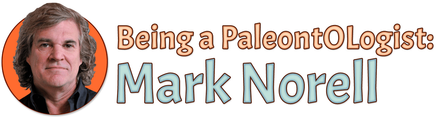 Being a PaleontOLogist: Mark Norell | AMNH