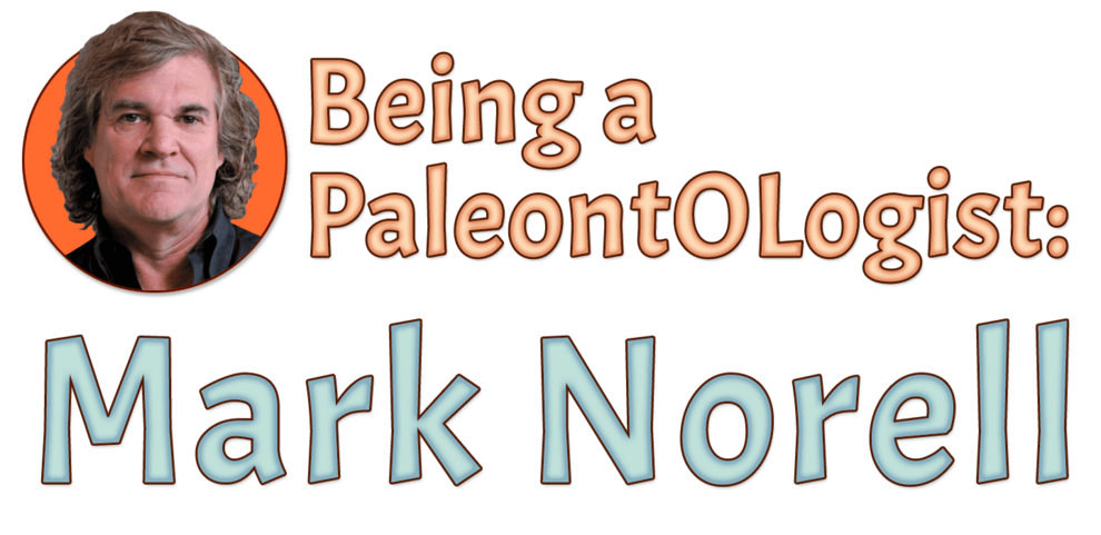 Being a PaleontOLogist: Mark Norell | AMNH