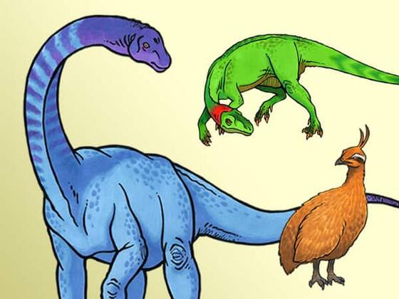 Paleontology for Kids: OLogy | AMNH