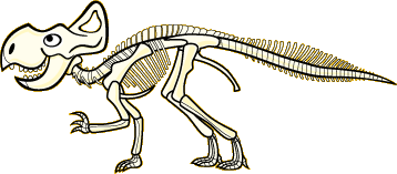 What does Protoceratops mean? | AMNH