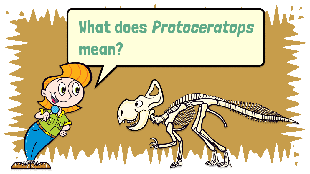 What does Protoceratops mean? | AMNH