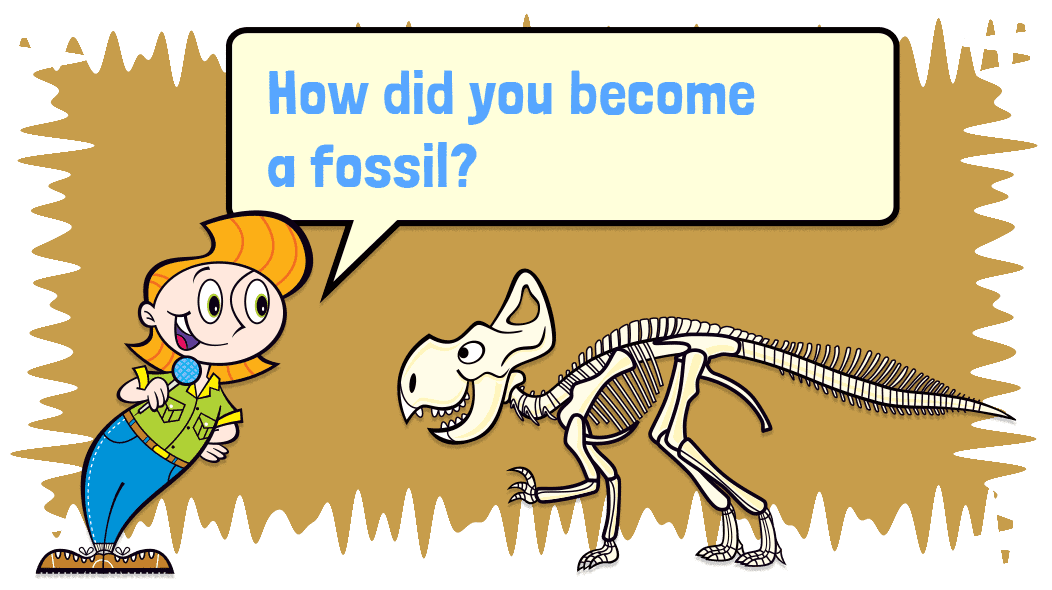 How did you become a fossil? | AMNH