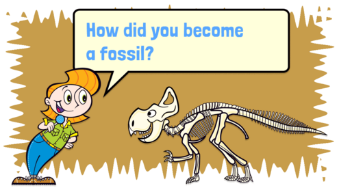 fossils animation