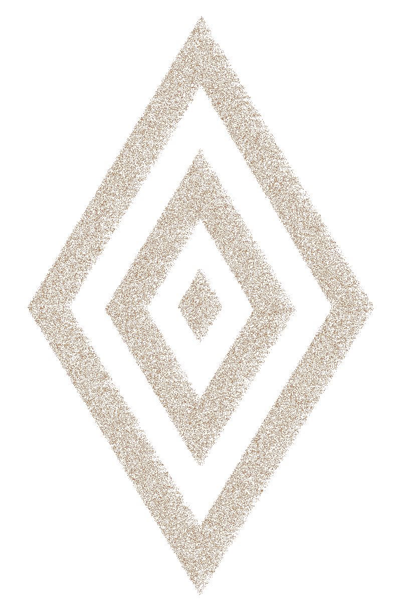 Fighting Dinos | AMNH