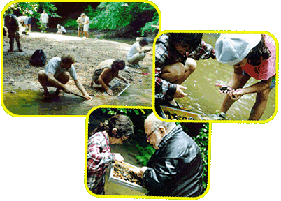 Finding Fossils | AMNH