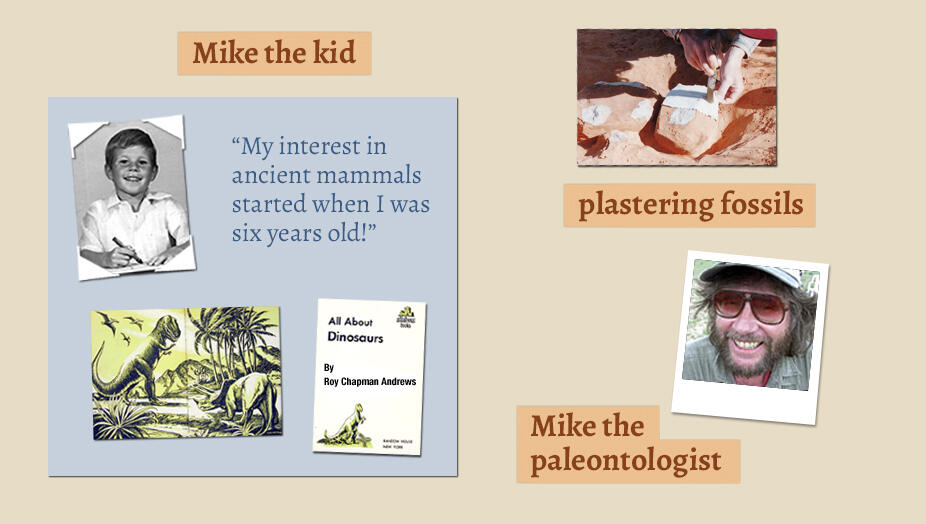 Going Gobi: Mike Grows Up | AMNH