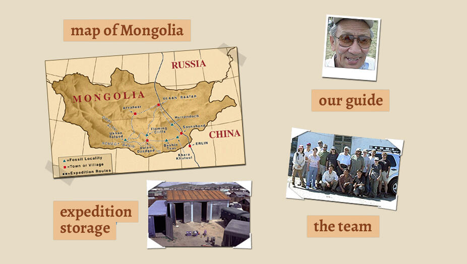 The Journey to Mongolia: Next Stop: Mongolia | AMNH