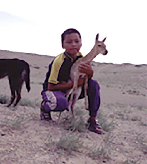 The Journey to Mongolia: Local Animals | AMNH