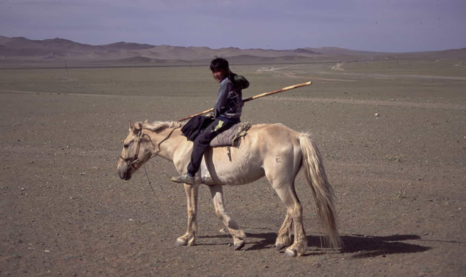 The Journey to Mongolia: Local Animals | AMNH