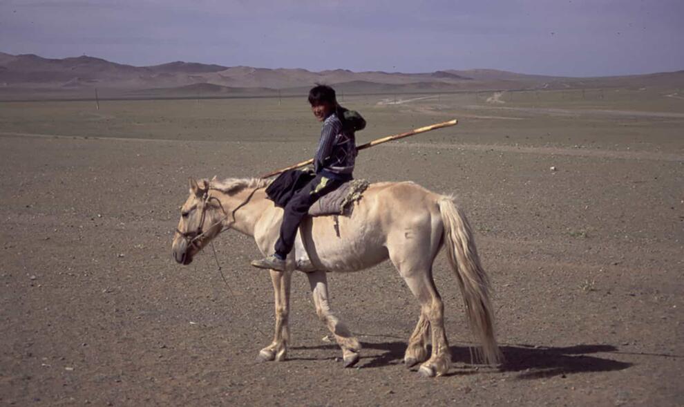 The Journey to Mongolia: Local Animals | AMNH