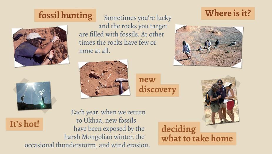 Fossil Hunting: Where's the Fossil? | AMNH