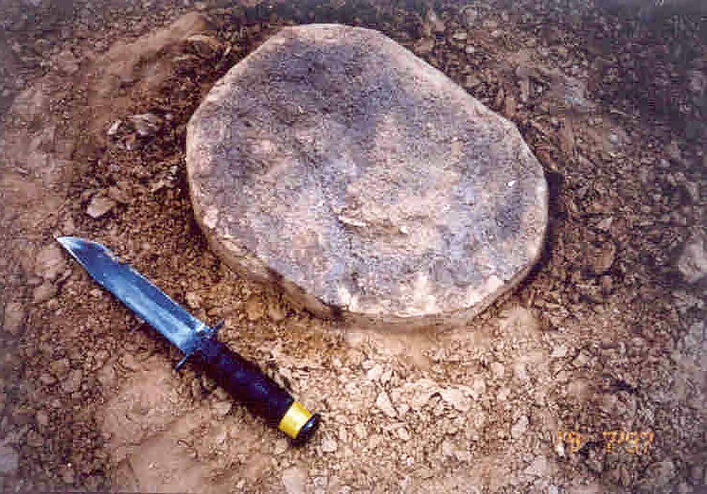 Fossil Hunting: Preparations | AMNH