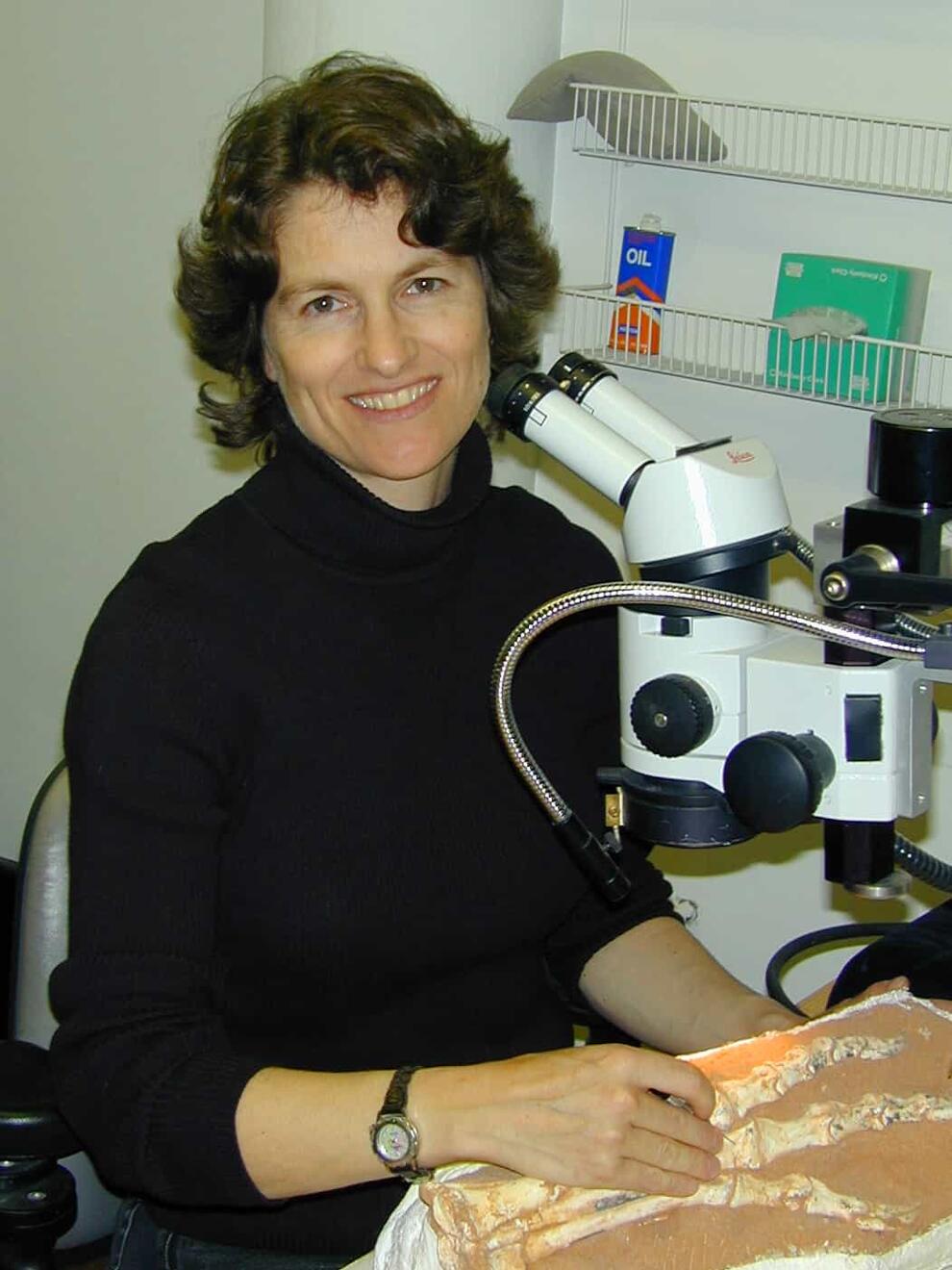 Fossil Hunting: Preparations | AMNH