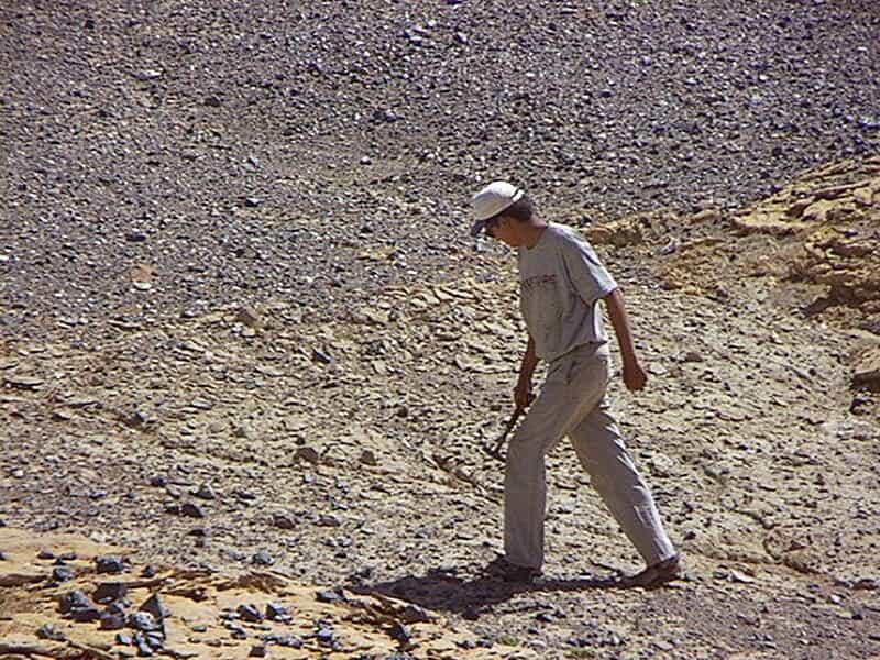 A Typical Day: Morning | AMNH