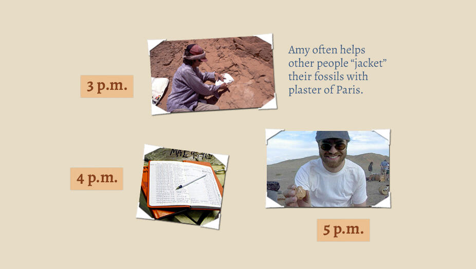 A Typical Day: Afternoon | AMNH