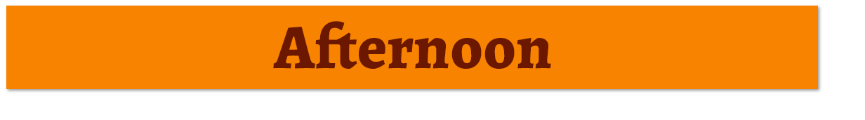 A Typical Day: Afternoon | AMNH