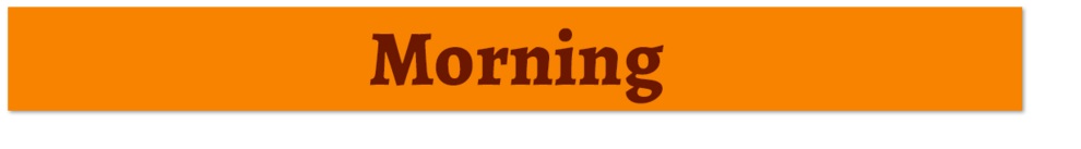 A Typical Day: Morning | AMNH