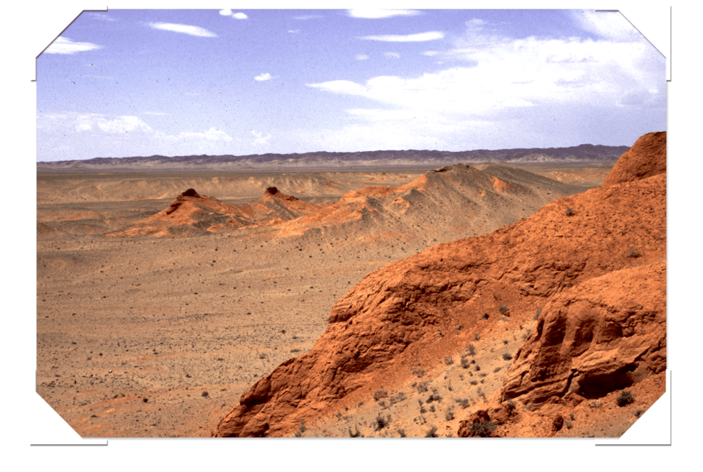 Going Gobi | AMNH