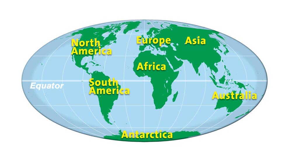 In Pictures: Fossils | AMNH