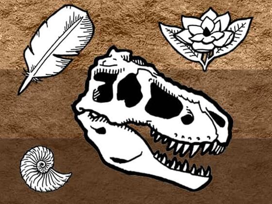 Paleontology for Kids: OLogy | AMNH