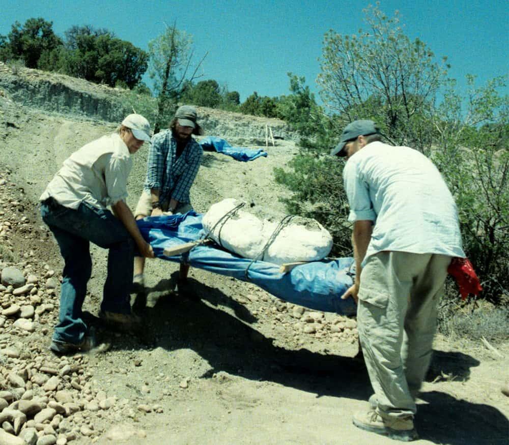 Layers of Time | AMNH