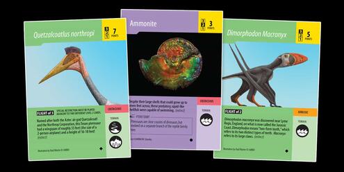 OLogy: Science Website for Kids | American Museum of Natural History