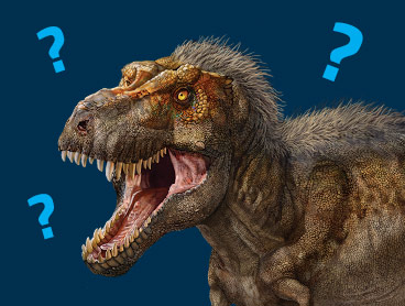 Paleontology for Kids: OLogy | AMNH