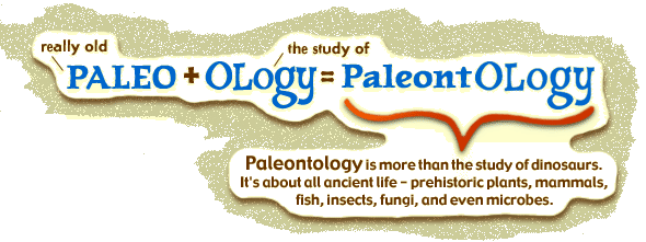 What is Paleontology? | AMNH