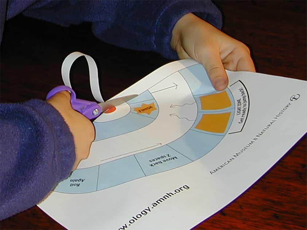 Light Quest: Activity Instructions