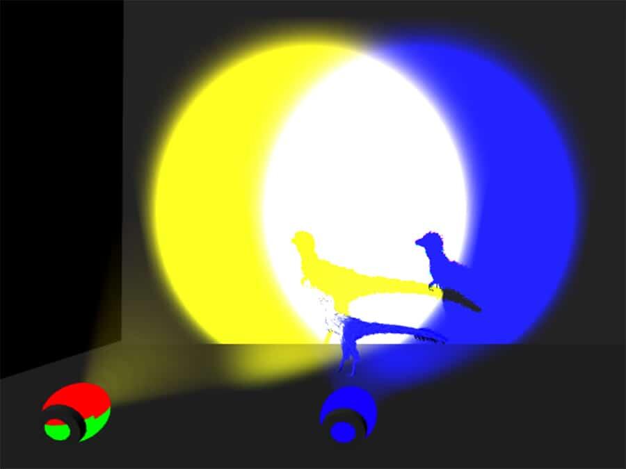 Play with Color and Light | AMNH