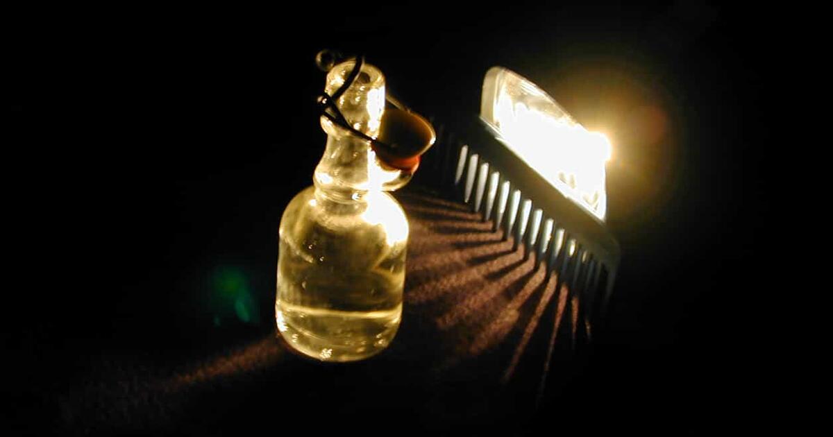 See the Light | AMNH