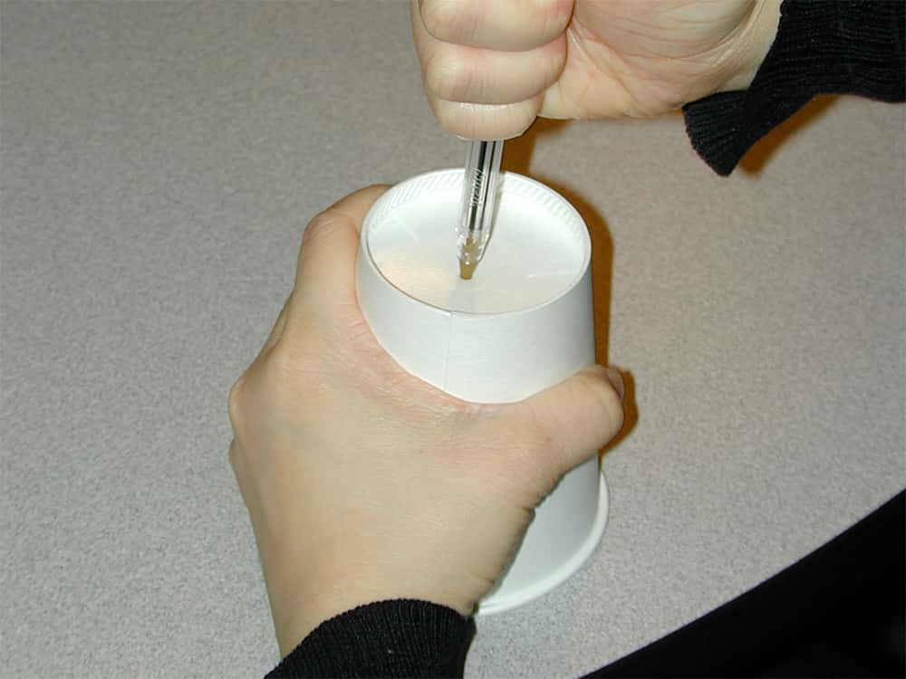 The Color of Light | AMNH