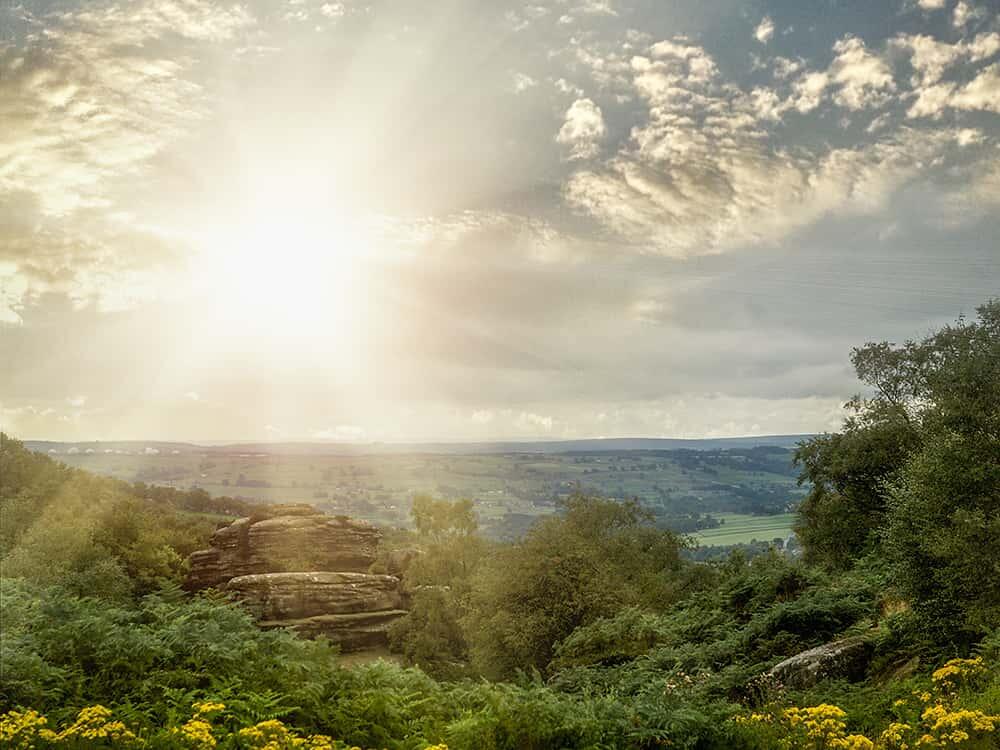 See the Light | AMNH