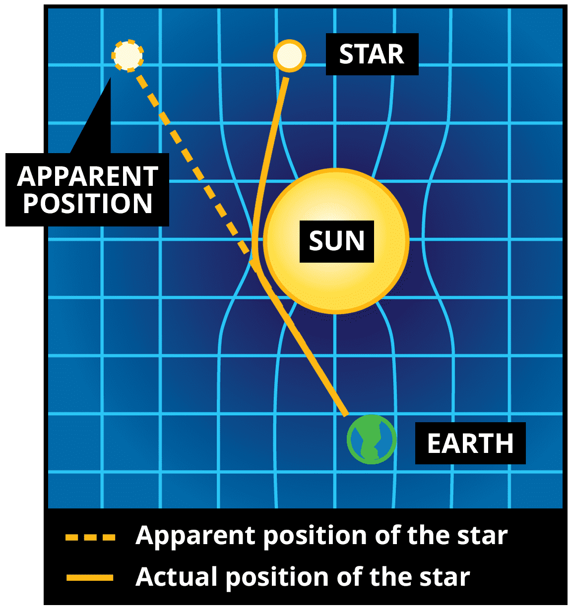 You Light Up My Life | AMNH