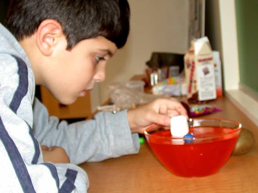 Space Jello: Activity Instructions | AMNH