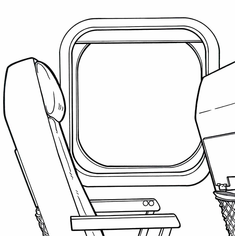 Views from Windows | AMNH