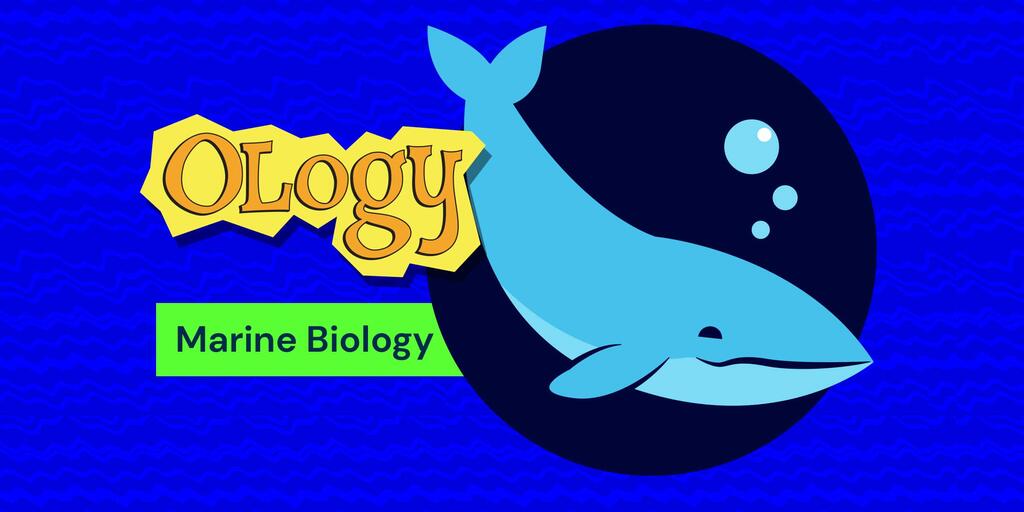 Marine Biologist Logo
