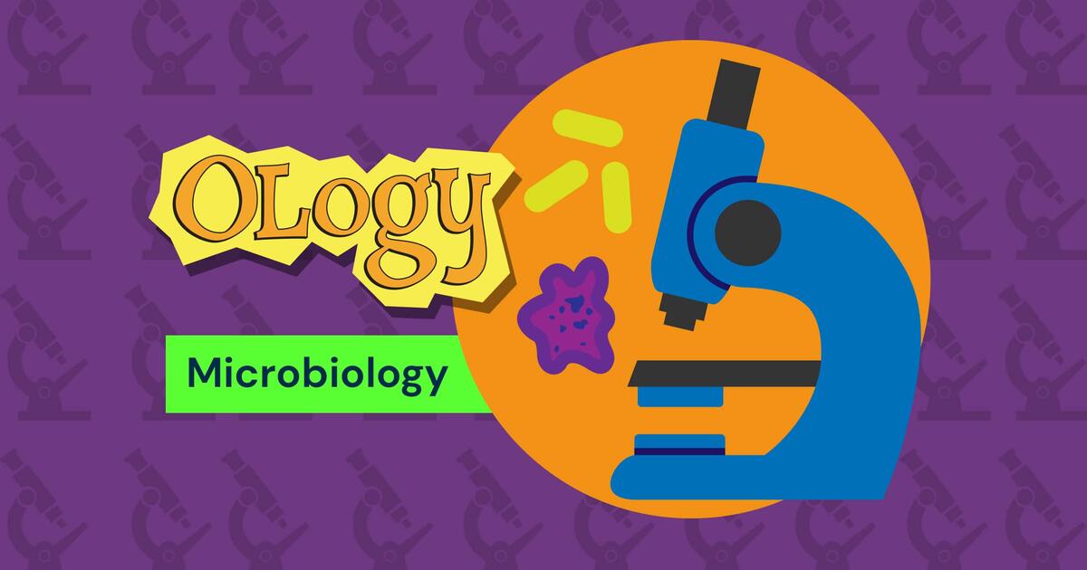 Microbiology for Kids: OLogy | AMNH