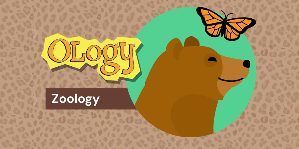 Zoologist Pictures Of Animals