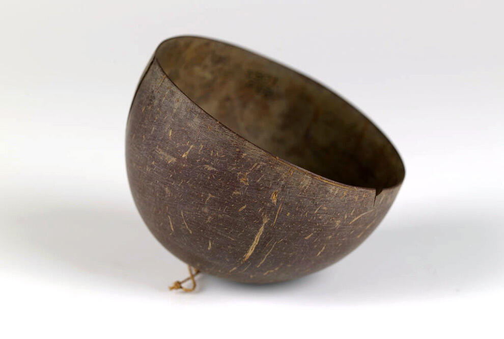 Earthquakes: Tremors From Below | AMNH