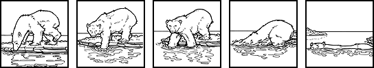 Arctic Story Puzzles: Answer Key | AMNH