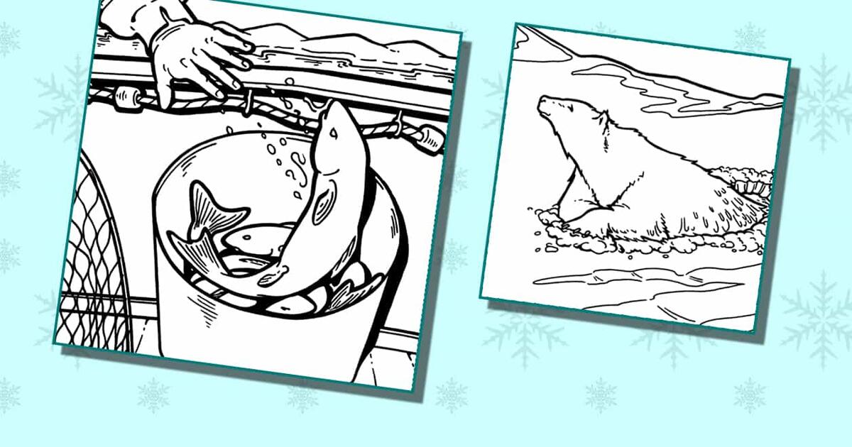 Arctic Story Puzzles | AMNH