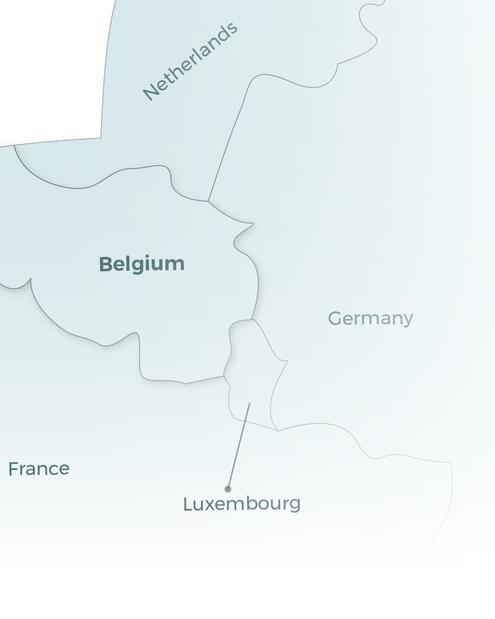 Belgian Draft | AMNH