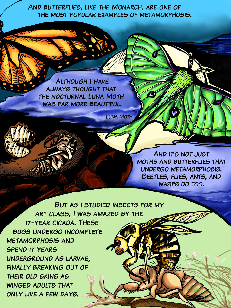 Issue 1: How I Became an Entomologist | AMNH