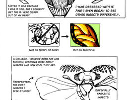 Issue 1: How I Became an Entomologist | AMNH