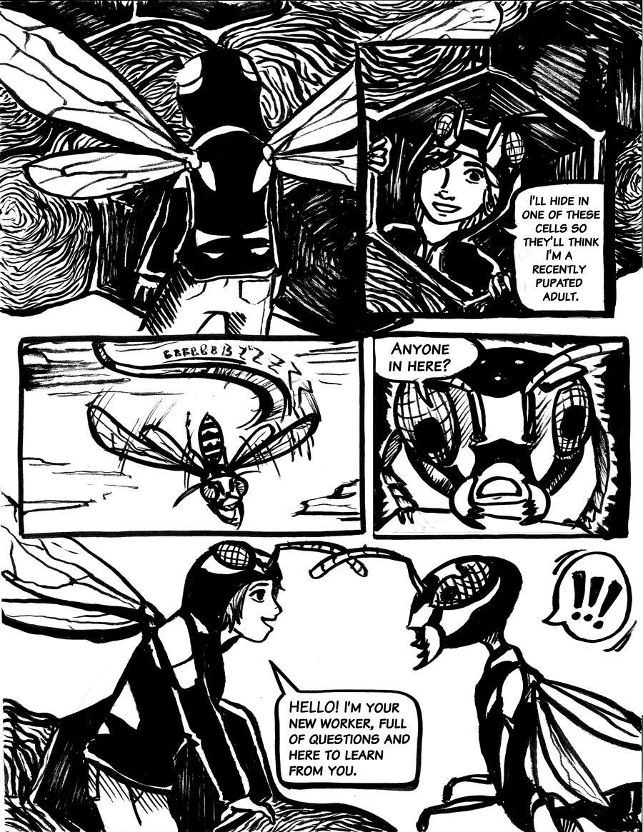 Issue 3: Social Wasp Undercover | AMNH