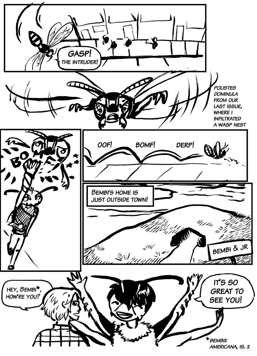 Issue 4: Nature's Horror – Parasitoid Wasps | AMNH