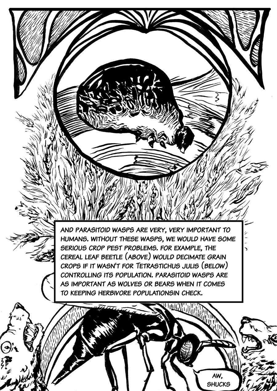 Issue 4: Nature's Horror – Parasitoid Wasps | AMNH