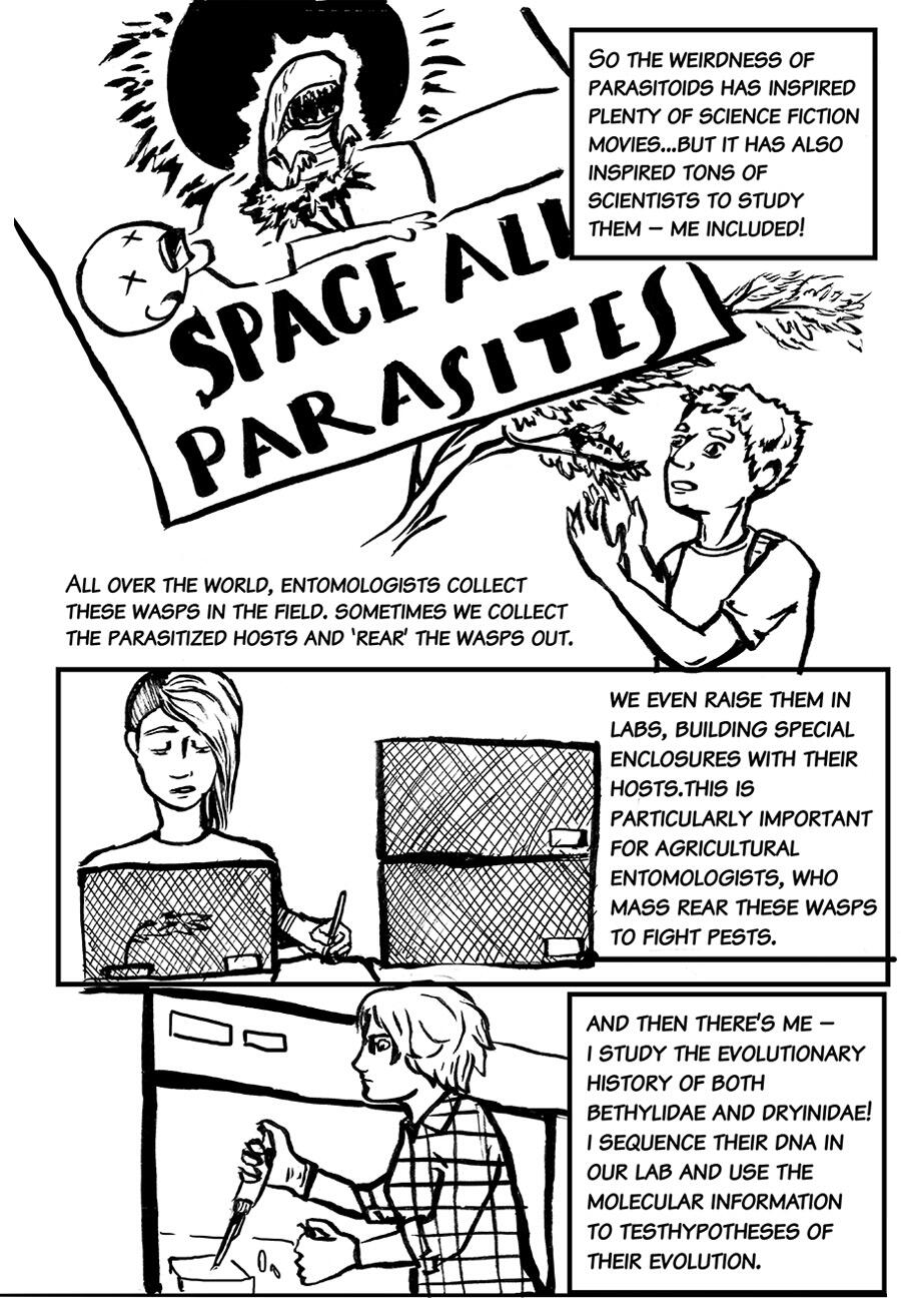 Issue 4: Nature's Horror – Parasitoid Wasps | AMNH